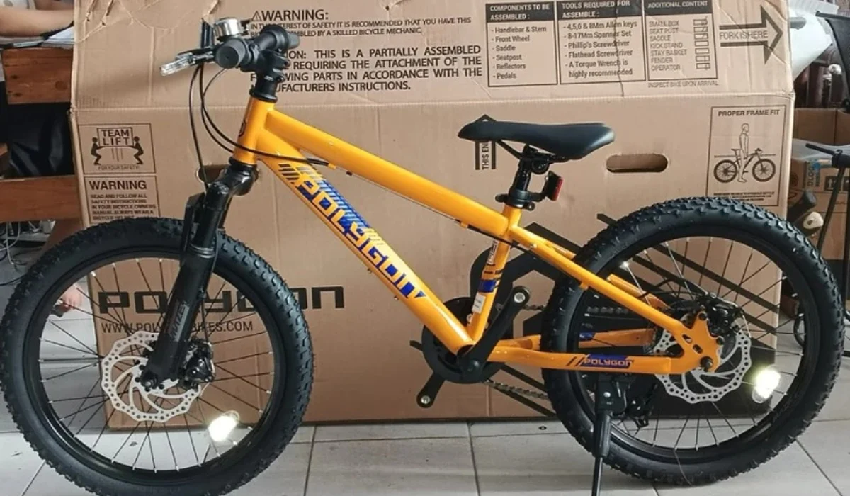 Sepeda Anak Terlaris di Shopee 2026: Harga Mulai Rp150 Ribuan dan ...